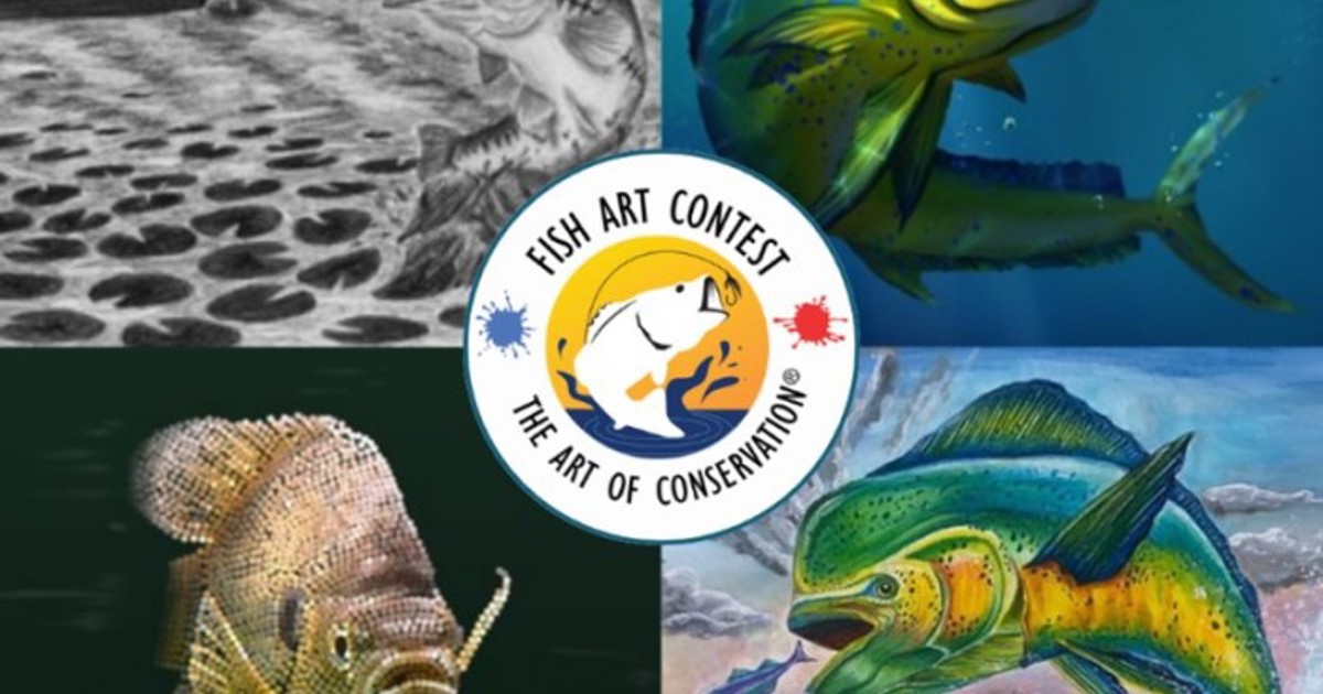Congratulations, youth artists! FWC announces winners of the Florida ...